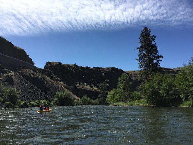 Top 10 Best Rivers to Fish for Steelhead in the Pacific Northwest