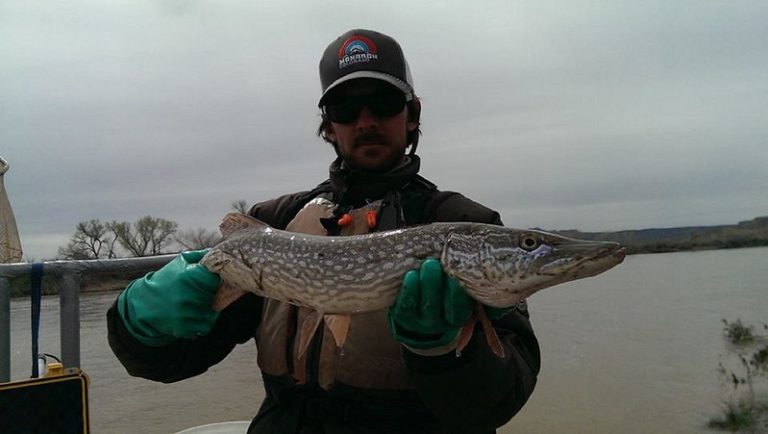 Best Lakes for Northern Pike Fishing in Washington State